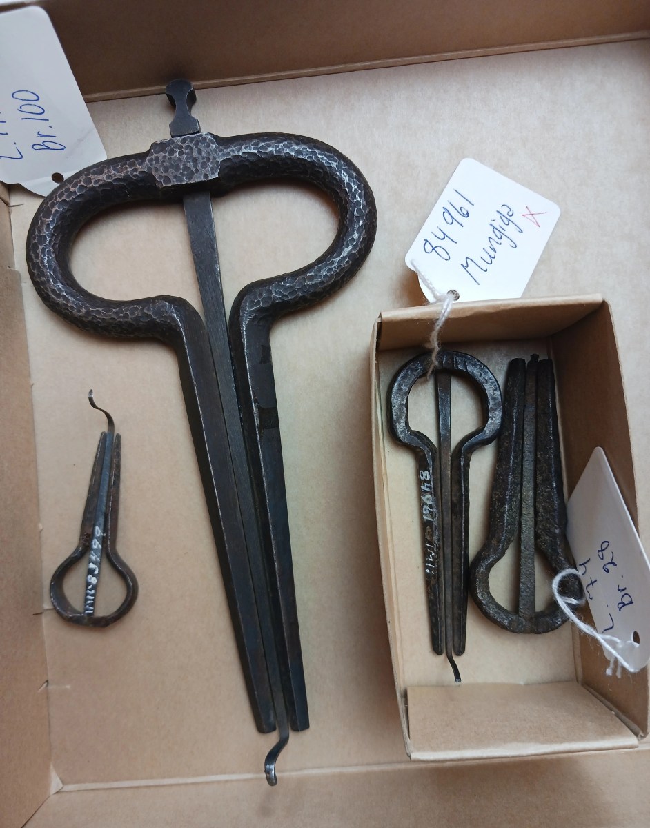 Mungigorna på Västergötlands museum – Mungiga.com